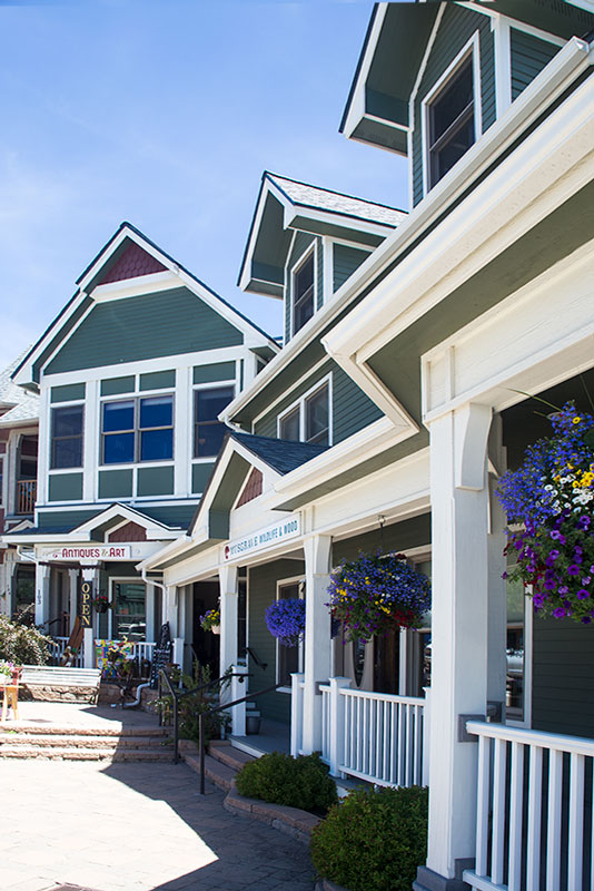 Towne Terrace | Reynolds Ash + Associates Architecture